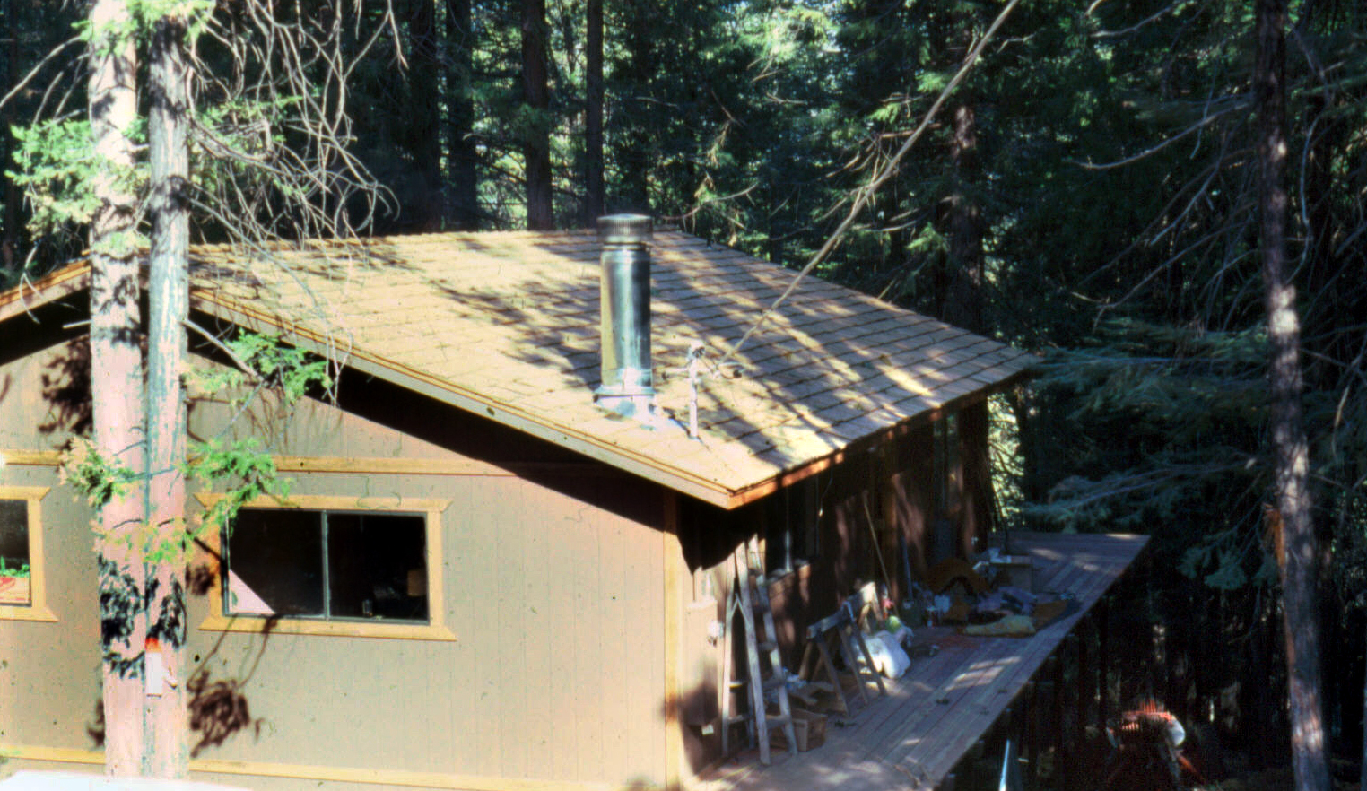 Larry Byam Curtis - Pollock Pines